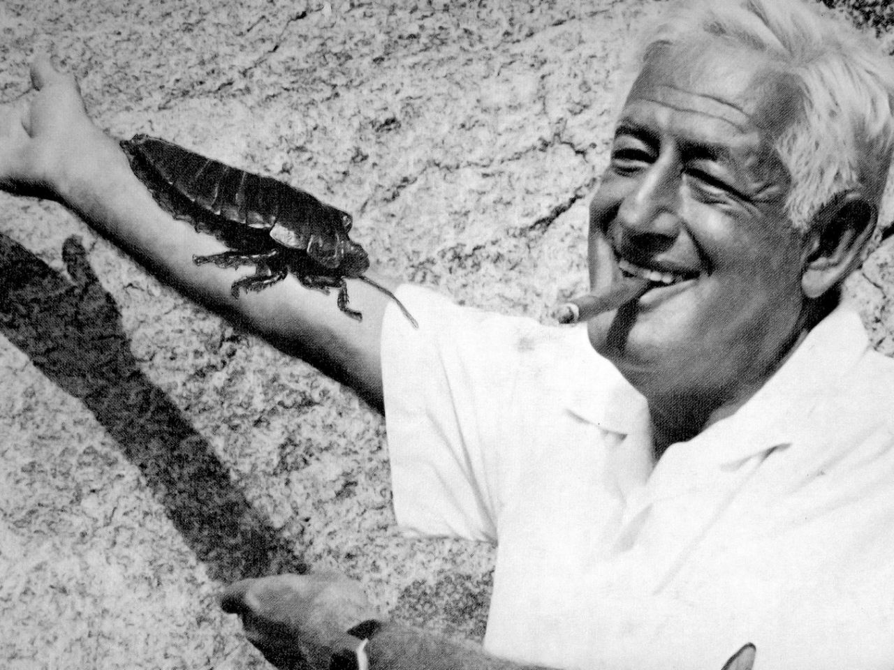 William Castle - The Grim Reaper